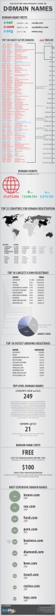 The History and Present State of Domain Names [Infographic] – Tech King